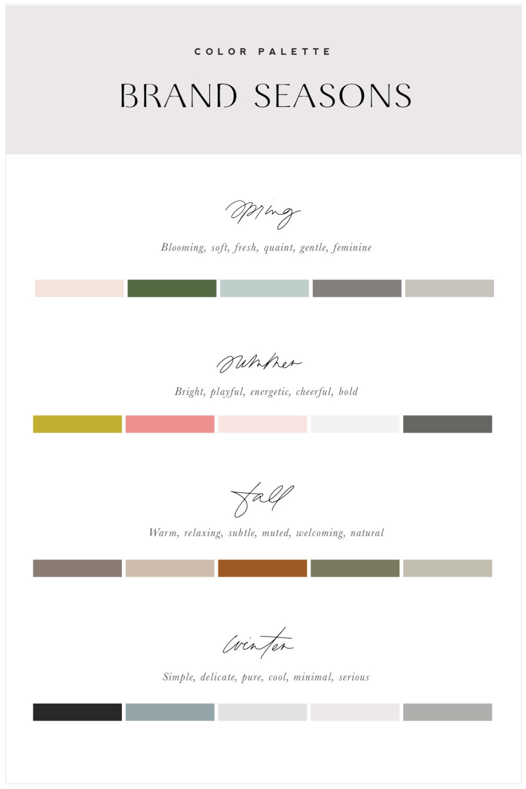Create Your Brand Color Palette Using Color Theory Saffron Avenue
